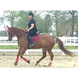 Lift Sports New Horse English Saddle Pad Set Matching Fly Bonnet Veil Ear Net Polyester Hand Made Crochet Full Size Equestrian Shows Tack