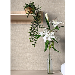 NuWallpaper Tan Poplin Peel and Stick Wallpaper, NUS5002
