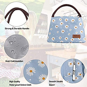 Buringer Reusable Insulated Lunch Bag Cooler Tote Box Meal Prep for Men & Women Work Picnic or Travel (Flying Flowers)