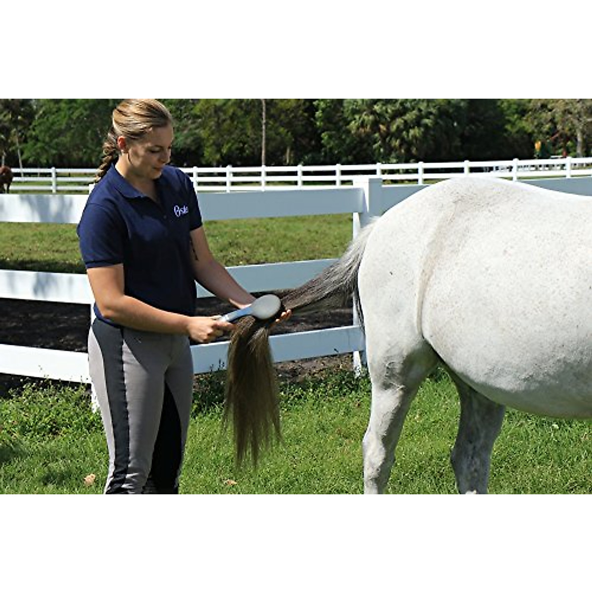 Oster Equine Care Series Mane & Tail Horse Brush, Blue (078399-140-001)