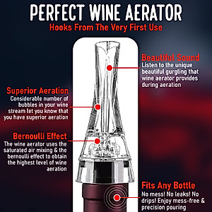 Wine Aerator Pourer Spout, Wine Air Aerator and Decanter for White and Red Wine Bottles, Portable Instant Wine Aerating Spout, No Spills or Drips, Wine Gifts for Women and Men