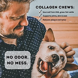 Exclusively Dog Collagen + Superfood Chew USA-sourced, Grass-Fed Beef Hide with Dried Cranberries Natural Dental, Joint Skin & Coat Support