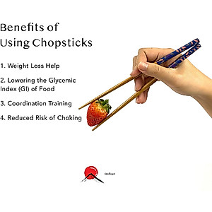 JapanBargain 3648, Bamboo Chopsticks Set Reusable Japanese Chinese Korean Wood Chop Sticks Hair Sticks, Dishwasher Safe, 5 Pair Gift Set, 9-inch (1)