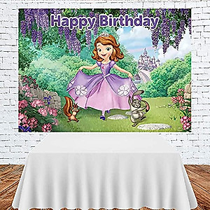 Dawei Sofia The First Backdrop | Birthday Party Background Supplies | Banner Decorations | Photography Background | Baby Shower | (5X3ft)