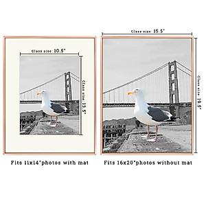 Frametory, 16x20 Metal Picture Frame with Mat for 11x14 Picture & Real Glass, Aluminum Photo Frame Collection (Rose Gold, 1 Pack)
