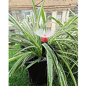 1/4" Drip Irrigation Emitters, Yulaiyoen 1/4-inch Spray Emitters 30 Pack, Automatic Drip Irrigation Parts Accessories, 360 Degree Drip Irrigation Sprinkler Heads Sprayer for Irrigation System