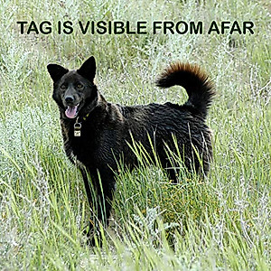 NaviTagi Pet ID Tag for Large and Extra Large Dogs. Personalized w/ID Number. Reliable Design, Stainless Steel Ring. 2 Phones Updatable Online, Name Safe (1 Tag - L)