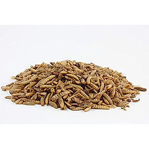 Tasty Grubs Dried Black Soldier Fly Larvae Made in USA 5lbs