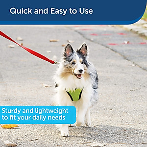 PetSafe Nylon Dog Leash – Strong, Durable, Traditional Style Leash with Easy to Use Bolt Snap – 3/4" x 6', Red