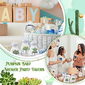 MTLEE 48 Sets Baby Shower Favors Include 48 Succulent Pumpkin Shaped Candles Fall Mini Plants Tea Lights Candles with 48 Invitations Cards and 48 Organza Bags for Baby Gender Reveal Guests(Succulent)