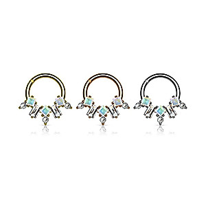 Pierced Owl 16GA Stainless Steel Multi CZ Crystal Fan Cartilage Helix Daith Septum Hinged Segment Ring (Silver Tone)