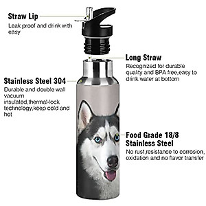 Oarencol Husky Dog Water Bottle Cute Animal Stainless Steel Vacuum Insulated Thermos with Straw Lid 20 Oz