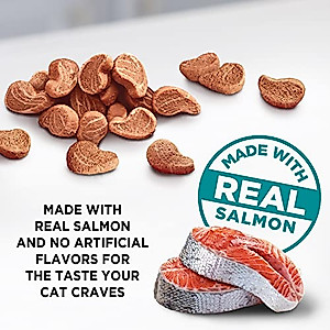 Meow Mix Irresistibles Soft Cat Treats, Salmon, 12 Ounce (Pack of 5)