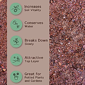 Organic Cocoa Bean Shell Mulch - Made from Cocoa Hulls - for Potted Plants, Flower beds, Gardens (8 Quarts)