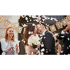 Honbay Just Married Bunting Banner Vintage Burlap Banner for Wedding, Bridal Shower, Bachelorette Party, Photo Props,etc