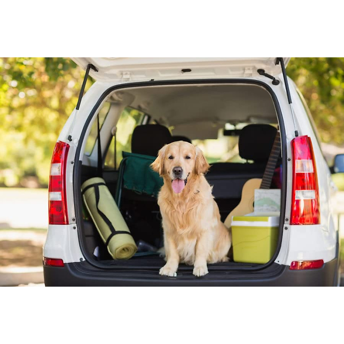 CARPRO SO2Pure 2.0 Odor Eliminator - Neutralize Odors, Cigarette Smoke, Exhaust, Chemical Smell or VOCs, Even Pet Smells from Car Fabric & Plastic, Use on Any Surface, Anywhere - 120mL (4oz)