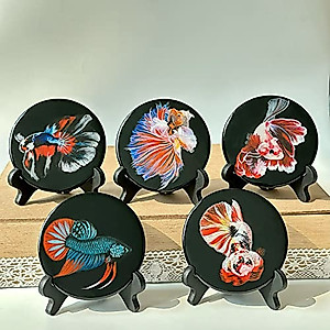 Hand-Painted Betta Fish on Resin Disc - Unique & Trending Ornaments - Office & Aquarium Accesory - Collectibles & Décor [Apatite Collection] (Blind Box, Random)