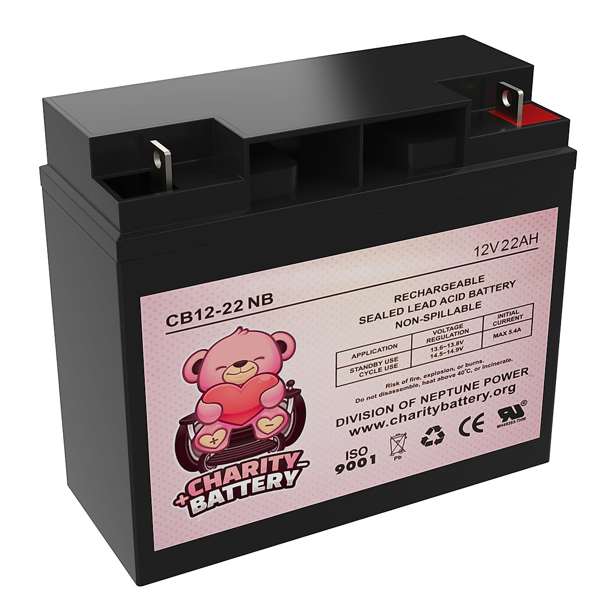 Charity Battery CB12-22 12V 22Ah Rechargeable SLA Battery Replacement for UB12180 FM12180 6fm18