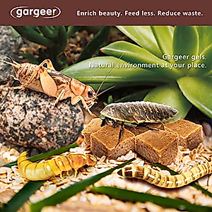 Gargeer Bugs and Insects Food. Complete Gel Diet for Roaches, Crickets, Worms, Dubia, Fly, etc. Made in The USA, Using Premium Nutritional Ingredients. 3oz Powder Turns into 1 Pound of Ready Food.