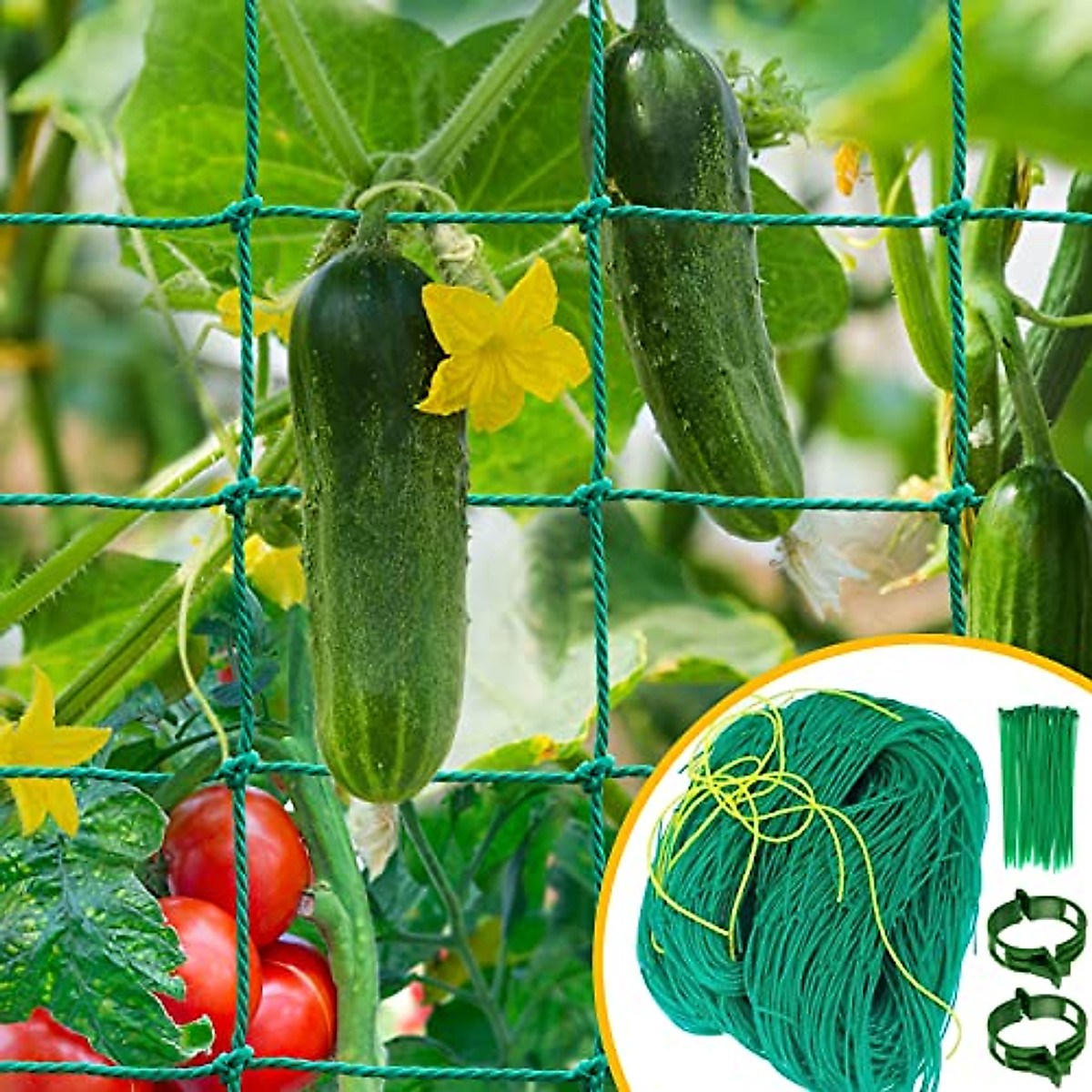 Garden Trellis Netting for Climbing Plants Outdoor, 6.6x16.4 FT Plant Netting for Cucumber, Tomato, 27 Strands Trellis Net with 4x4 Inch Mesh as Vegetable Netting for Grape, Bean