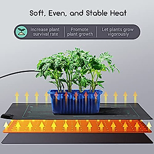 LUXBIRD 2 Pack 10"x 20.75" Seedling Heat Mat and Digital Thermostat Controller Combo Set