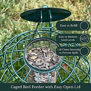 Backyard Essentials Orb Caged Seed Feeder for Wild Birds, Petite Orb Caged Seed Feeder for Outdoors