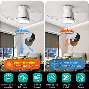 Roomratv Ceiling Fans with Lights 22 inch Quiet Ceiling Fan Large Airflow Remote Control 3 Color Temperature for Bedroom Kitchen Dining Room Patio（White）