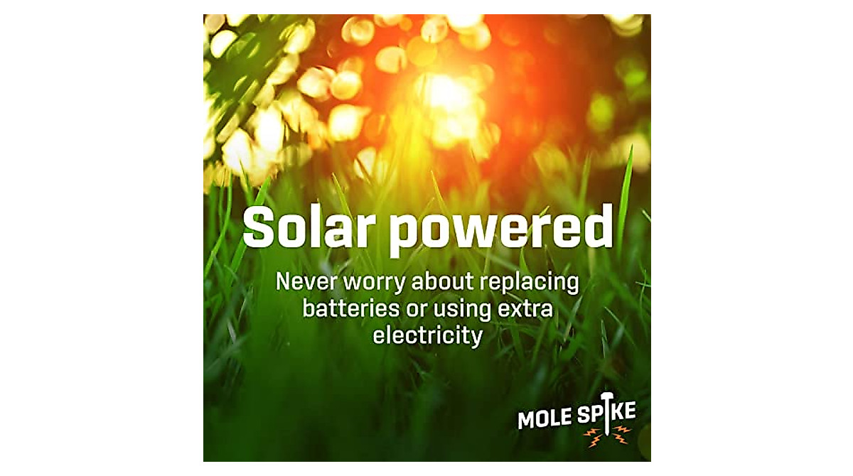 Exterminators Choice Ultrasonic Mole Spikes - 8 Pack