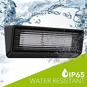 Leisure LED 2X RV Exterior Porch Utility Light XL 12v 650 Lumen Lighting Fixture. Replacement Lighting for RVs, Trailers, Campers, 5th Wheels Black Base Clear Lens (Black, 2-Pack)