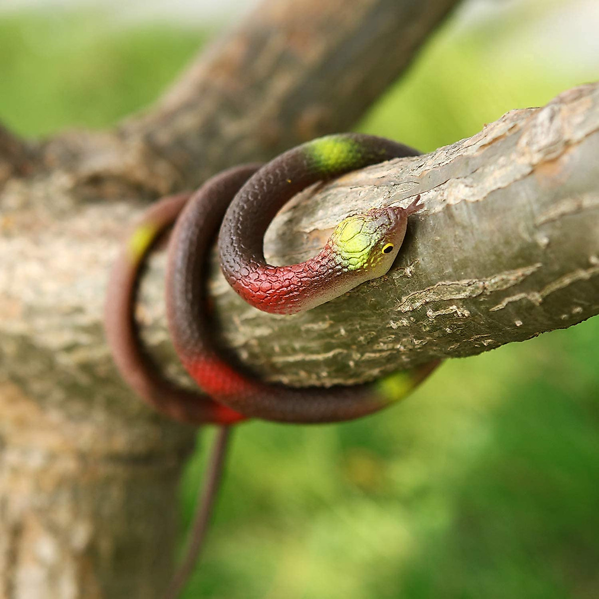 ZZF-LYA 4 Packs Realistic Rubber Snake Set-Plastic Forest Snakes Realistic Rubber Snake Assorted Colorful Fake Snake Figure Keep Birds, Squirrels, Rats Away