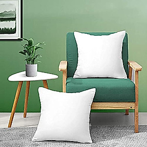 Empyrean Bedding Throw Pillow - 16 x 16 Inches Decorative Pillow Insert - Cotton Blend Outer Shell Indoor & Outdoor Pillows (Pack of 2, White)