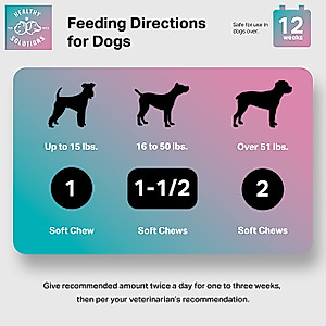 Cranberry Chews for Dogs - UTI, Bladder, Kidney, & Urinary Tract Support - Dog Health Supplements Contain Cranberry Extract, Echinacea, Vitamin C, and Astragalus Root - 60 Soft Treats