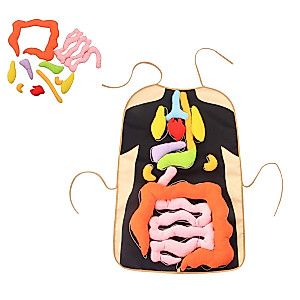 EDIONS 3D Organ Apron for Home Preschool Teaching Aid, Anatomy Apron Human Body Removabl Organs Apron for Kindergarten Kids Children Physiological Education Toy