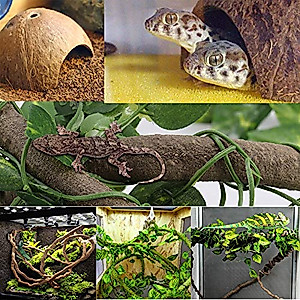 kathson Leopard Gecko Tank Accessories Reptile Habitat Decor Reptiles Hanging Plants Artificial Bendable Climbing Vines and Hidden Coconut Shell Hole for Chameleon, Lizards, Gecko, Snakes
