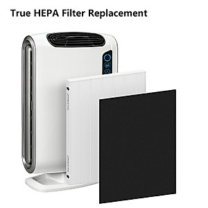 CFKREYA 2 Pack True HEPA Replacement Filters 9287101 Compatible with Fellows Aeramax 190, 200 and DB55/DX55 Purifier, 2 HEPA Filters & 6 Extra Carbon Pre-Filters.