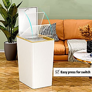 IEEK 2 Pack of Trash Can with Lid,4 Gallons/15 Liters Garbage Can with Press Top Lid Plastic Dog Proof Trash Bin,Waste Basket for Bathroom/Kitchen/Bedroom/Office/Living Room,White and Gold