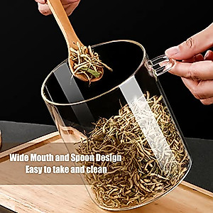 Nevfiro 4 Pack Airtight Glass Jars with Bamboo Lid and Spoon, 19Oz Borosilicate Glass Food Storage Containers Canisters, Decorative Overnight Oats Containers with Lids for Coffee, Tea, Sugar