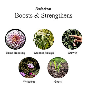 Arber Plant Food | Organic Fertilizer for Indoor & Outdoor Plants | Bloom Boosting Growth | Natural Gardening Solution | Soil Fertility Flowers, Vegetables | Liquid Concentrate | Makes Over 4 Gallons