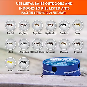 PIC 4PK-Metal-AB Bait Stations Homeplus Ant Killer Metal Bait Stations, Indoor Ant Traps, Indoor Pest Control, Pack of 4
