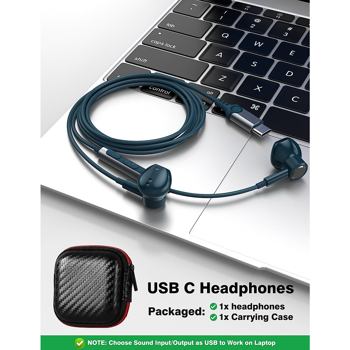 USB C Headphones Magnetic USB-C Wired Earbuds HiFi Stereo Type C Earphones Microphone Volume Control for iPhone 16 Pro 15 Plus iPad 10,Samsung Galaxy,Google Pixel,Motorola Edge/Razr,Oneplus,Lake-Blue