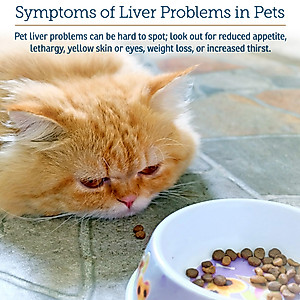 Rx Vitamins Hepato Support for Dogs & Cats - Liver Support Supplement with Milk Thistle for Dogs and Cats - Hepatic Dog Supplement Enriched with Vitamin B Complex - 180 Capsules