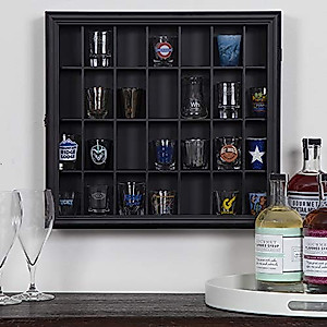 Gallery Solutions 18x16 Shot Glass Hinged Front Display Case, 18" x 16", Black