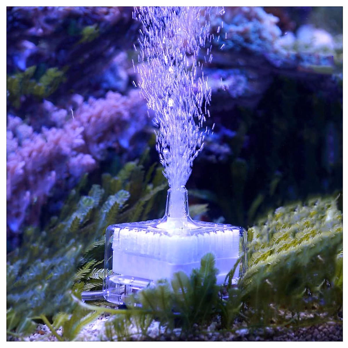 FRIRODSAY Fish Tank Filter Aquarium Sponge Filter Quiet Small Filter for 1-20 Gallon Aquariums Detachable with Activated Carbon and Air Stone (Air Pump not Included)