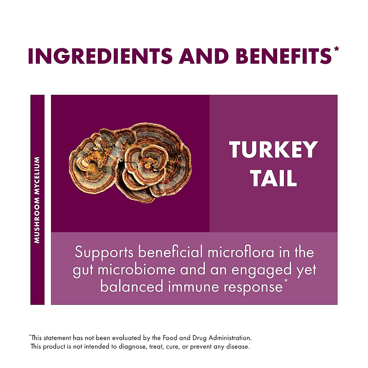 Host Defense Turkey Tail Capsules - Digestive Health & Immune Response Support Supplement - Mushroom Supplement for Gastrointestinal & Gut Microbiome Support - 120 Capsules (60 Servings)*