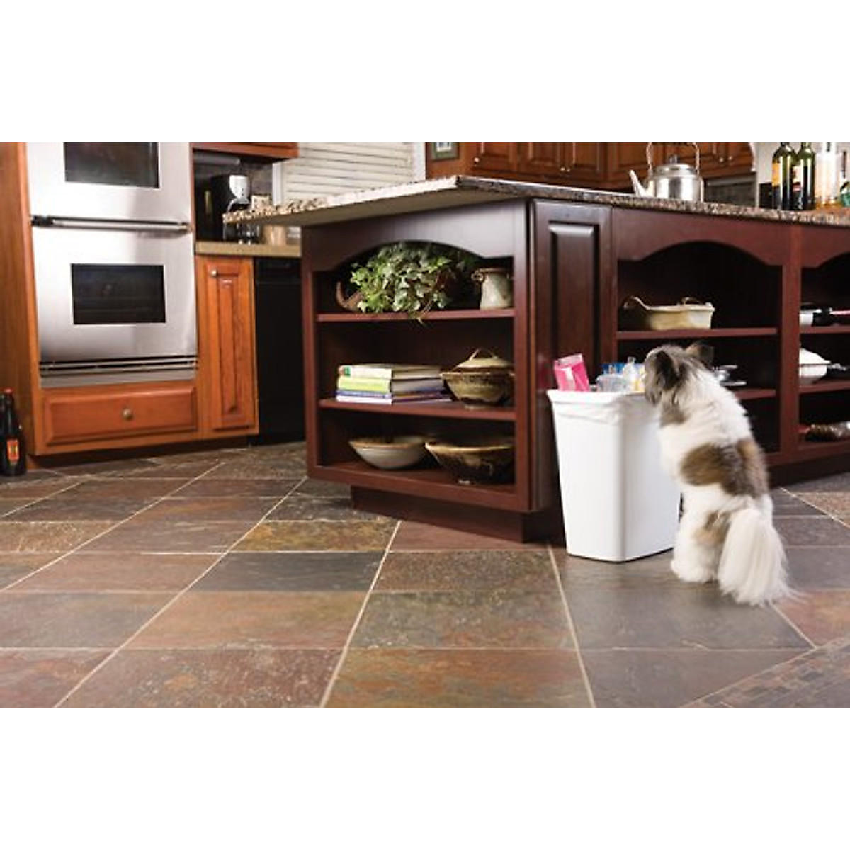 PetSafe Pawz Away Spray Deterrent