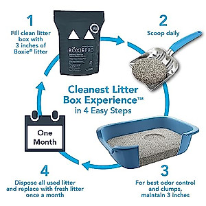 Boxie® Gently Scented 30 Day Natural Odor Control Cat Litter, 16lb Clumping Clay Kitty Litter