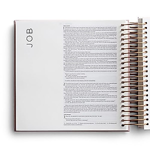 Illustrating Bible NIV - Spiral Bound Bible Journal, Pink