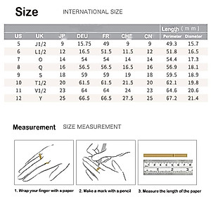 Kasmom 14K SS925 Ring Of Pure Obsidian Stone And Sapphire Gemstone Garnet Jewelry Ring Set For Women Men (Black, Sz 6)