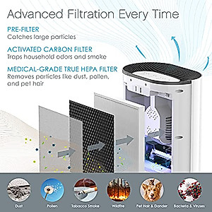 Pure Enrichment Genuine 3-in-1 True HEPA Replacement Filter for the PureZone Air Purifier - 2 Pack (PEAIRPLG)