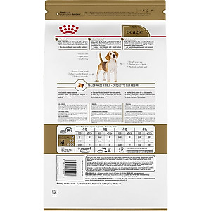 Royal Canin Beagle Adult Dry Dog Food, 6 lb bag